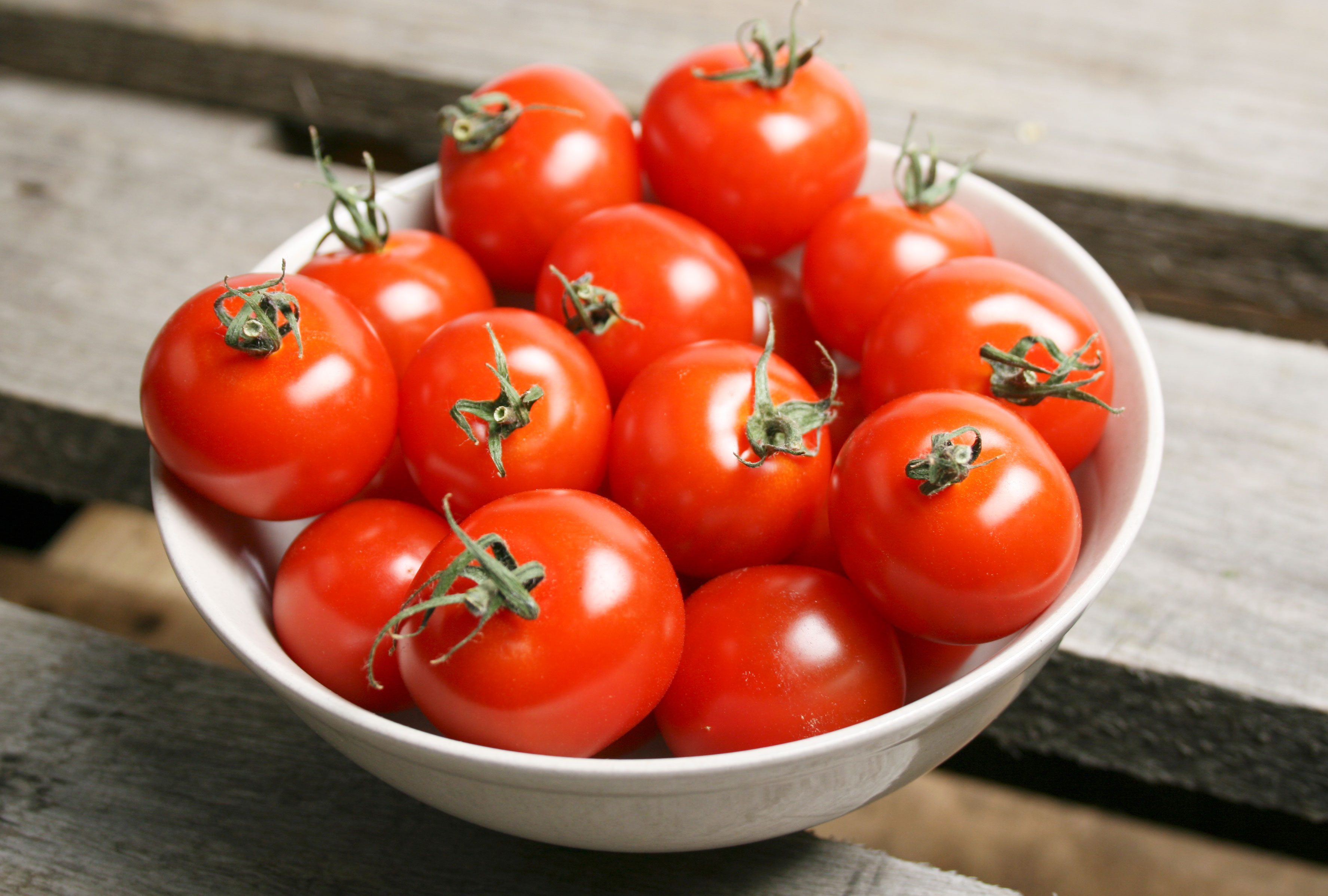 Cherrytomater - 1 bk. - Tomater - DenGrønneAsparges.dk